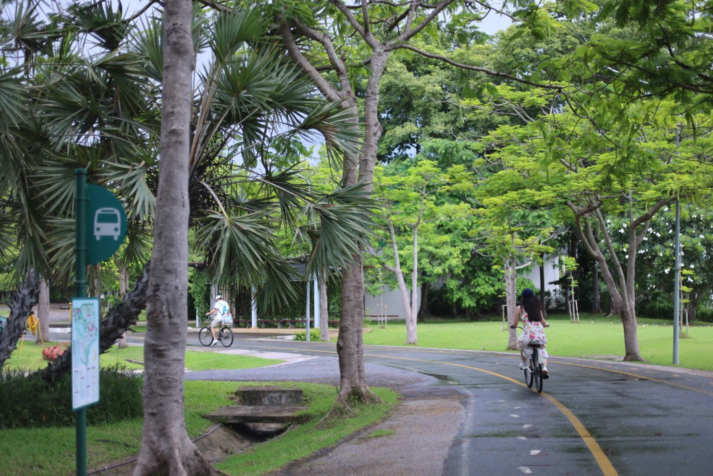 Take a Green Break พัก(ใจ)ในมุมสีเขียว ღ: อุทยานหลวงราชพฤกษ์
