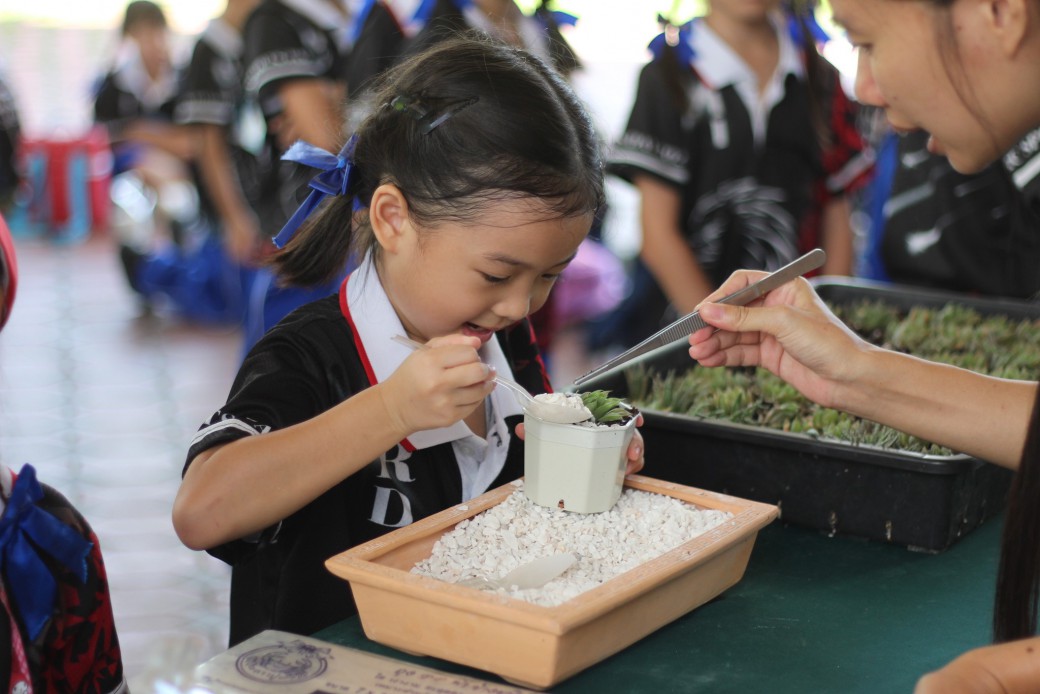 เปิดโลกการเรียนรู้นอกห้องเรียน PLAY AND LEARN : PLEARN WITH US : อุทยานหลวงราชพฤกษ์